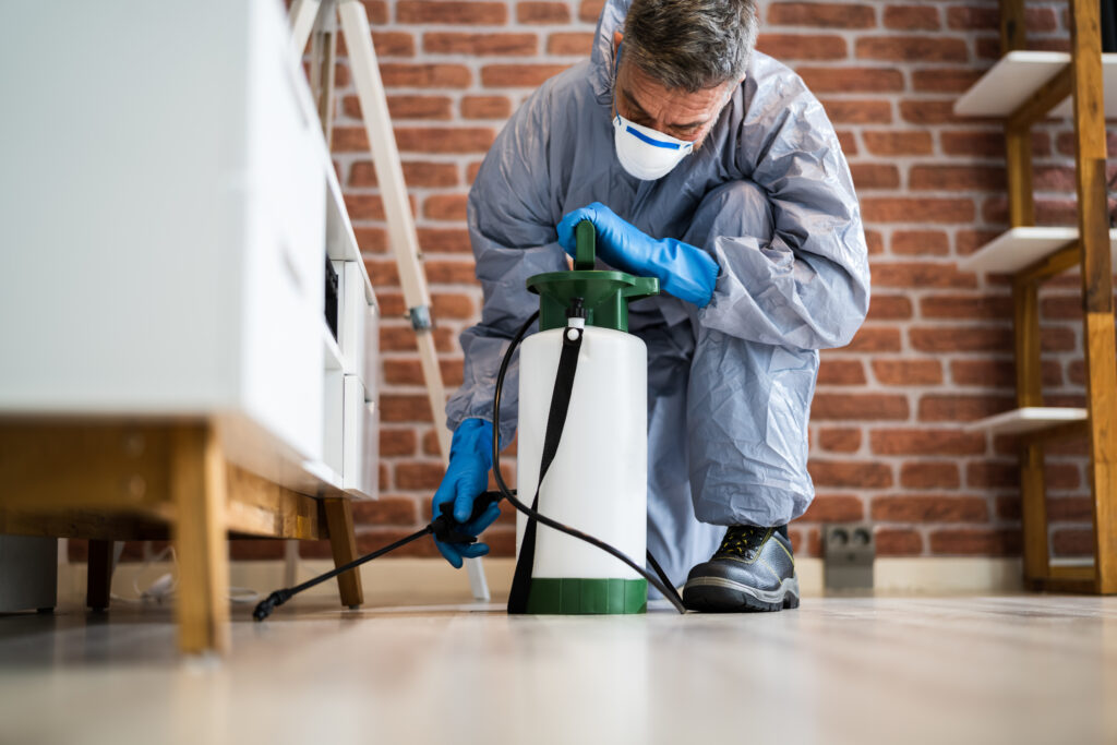 Fort Lauderdale Pest Control Experts | Reliable Extermination